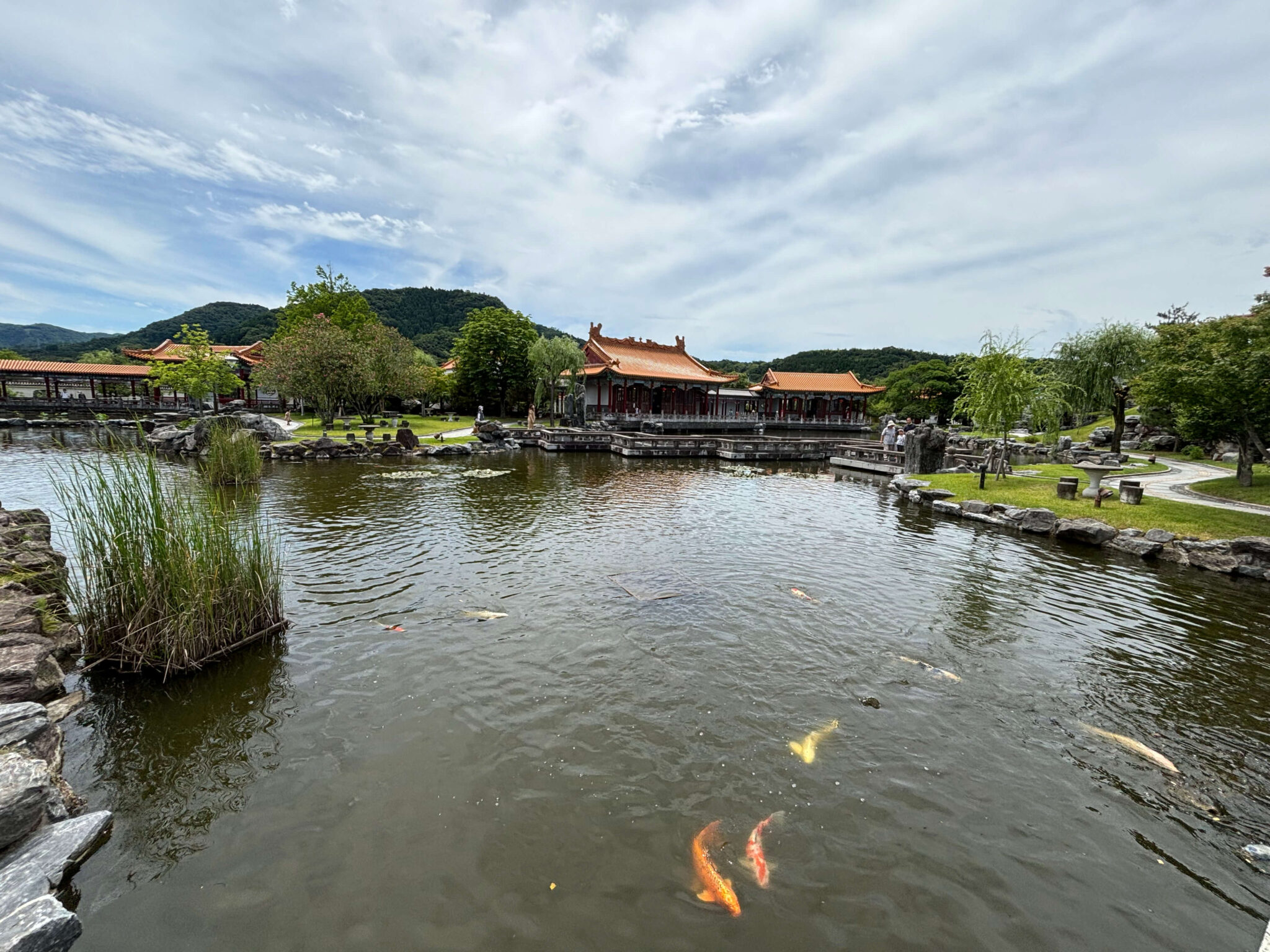 パンダマークの画像圧縮「TinyPNG」でJPEG画像の容量を削減｜SEOに効果的な圧縮方法を解説 weblife blog